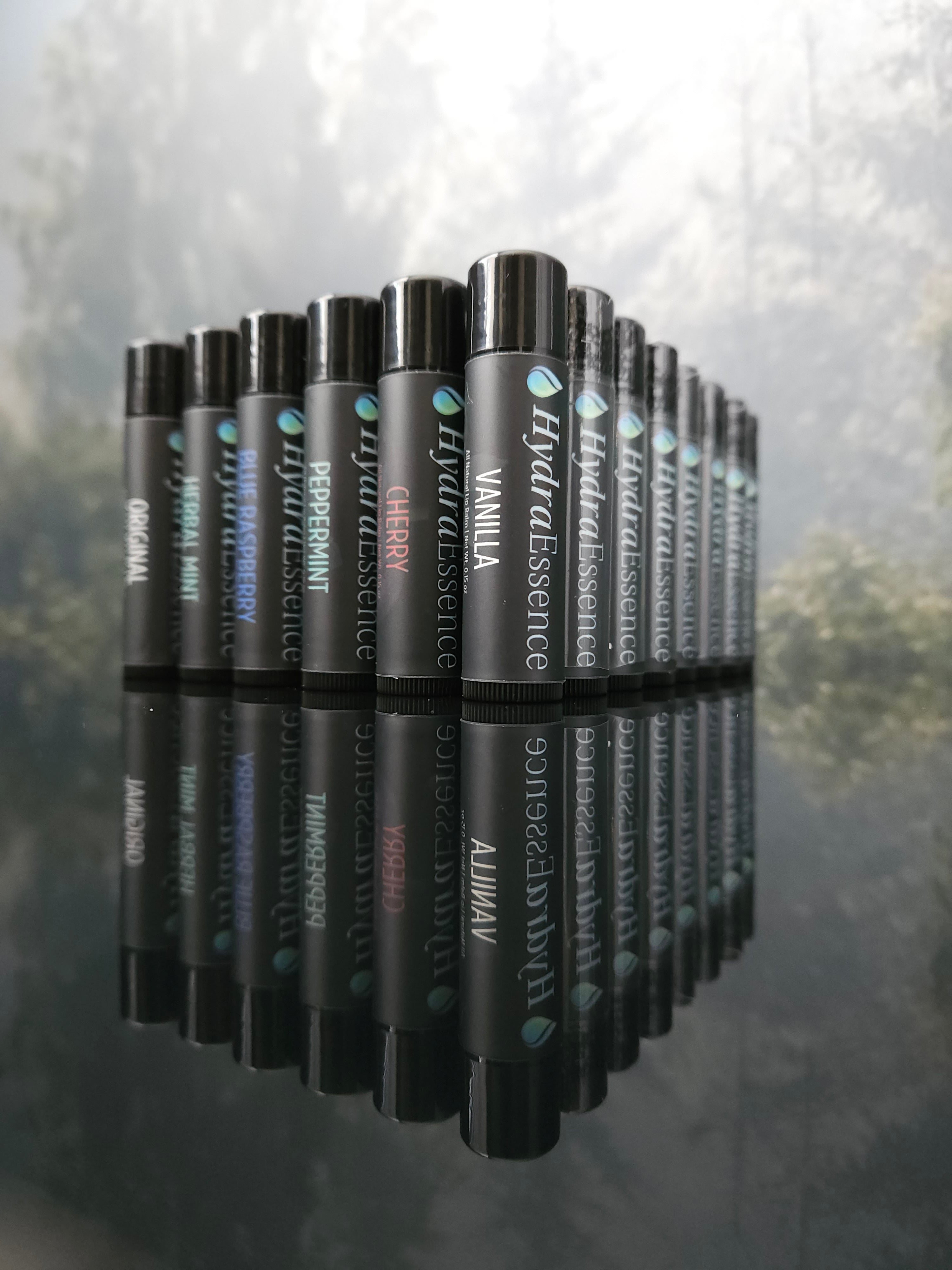 Complete Collection | All 6 Flavors Sampler Pack – HydraEssence
